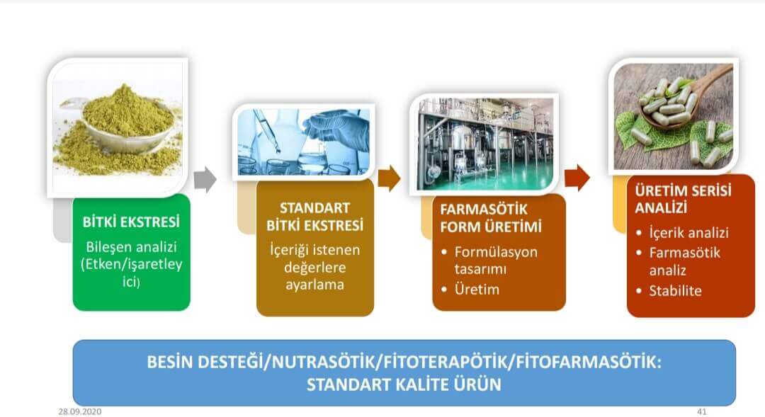 Fitoterapi ve Bitkisel Ürünlerin Sağlıkta Bilinçsiz Kullanımı - Parlak ...